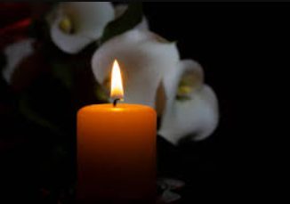 Alan Zheng WWP obituary – Alan Zheng, West Windsor-Plainsboro (WWP ...