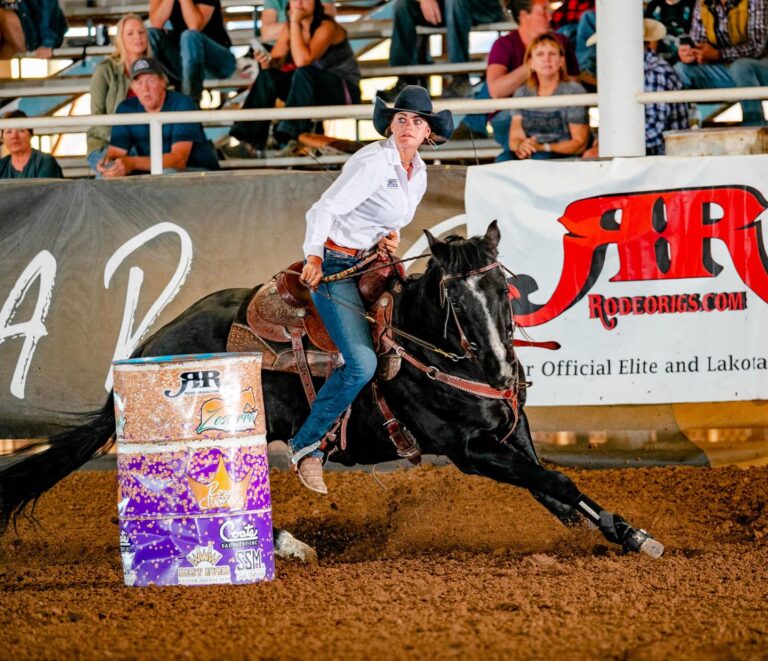 Stallion Slick By Design Obituary News- legendary stallion, NFR ...